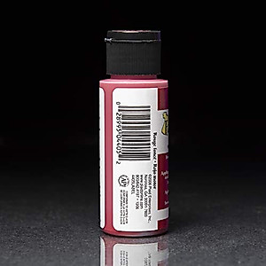 FolkArt Brush on Fabric Paint Beginner Set (2-Ounce),