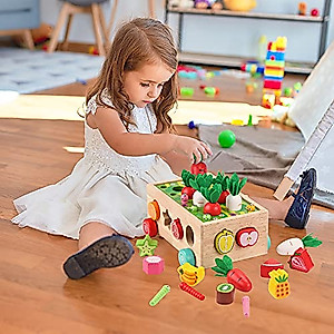 Toddlers Montessori Wooden Educational Toys for Baby Boys Girls Age 2 3 4 Year Old, Shape Sorting Toys Gifts for Kids 2-4, Wood Preschool Learning Fine Motor Skills Game