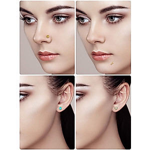 Blulu 20 Pcs 16g Stainless Steel Nose Studs Straight Nose Rings Body Piercing Jewelry 20 Styles for Women Men