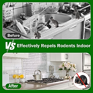Ultrasir Rodent Repellent, Mouse Repellent 10 Pouches, Peppermint Oil Pest Repellent Granules for Mice Rats Squirrels Ants Spiders, Natural Repel Mouse Deterrent for House,Car,RV,Garage,Cabin,Basement