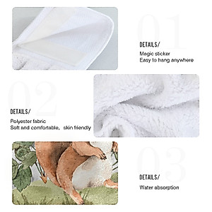 Squirrel Strawberry Leaves Hanging Kitchen Towel Dish Cloth Tie Towels Set of 2 Hand Towel Tea Bar Dry Towel Absorbent Fast Drying for Bathroom Laundry Room Decor