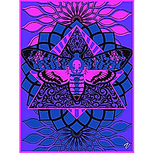 Death Head Moth Psychedelic Poster - High Gloss 18" X 24"