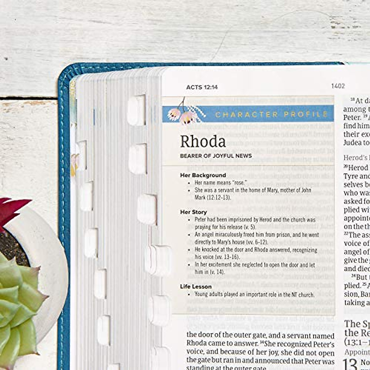 CSB Study Bible For Women, Teal Flowers LeatherTouch, Indexed, Black Letter, Study Notes and Commentary, Articles, Profiles, Word Studies, Charts, Full-Color Maps, Easy-to-Read Bible Serif Type