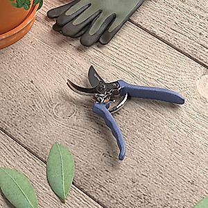 Amazon Basics 8-Inch Steel Bypass Pruning Shears, Blue