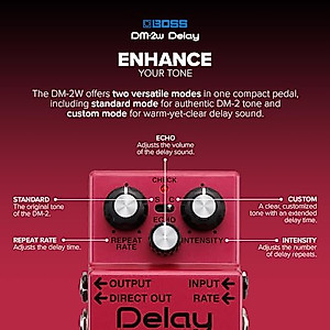 Boss DM-2W Waza Craft Delay Pedal