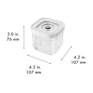 ZWILLING Small Cube, S Container, .34-qt, 2-pc Set, Clear