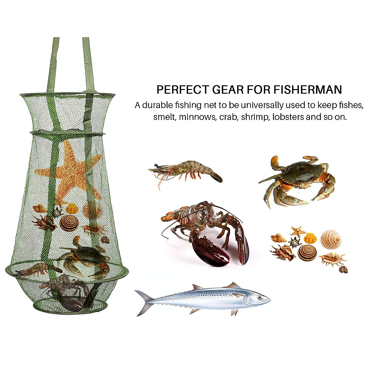 mouhike Collapsible Fish Basket Mesh Fish Trap Portable Fish Cage Foldable Fishing Keep Net for Keeping Fish Alive, Bait Storage Crayfish Crab Minnows Shrimps Lobsters