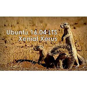 Learn How To Use Linux, Ubuntu Linux 16.04 Bootable 8GB USB Flash Drive - Includes Boot Repair and Install Guide