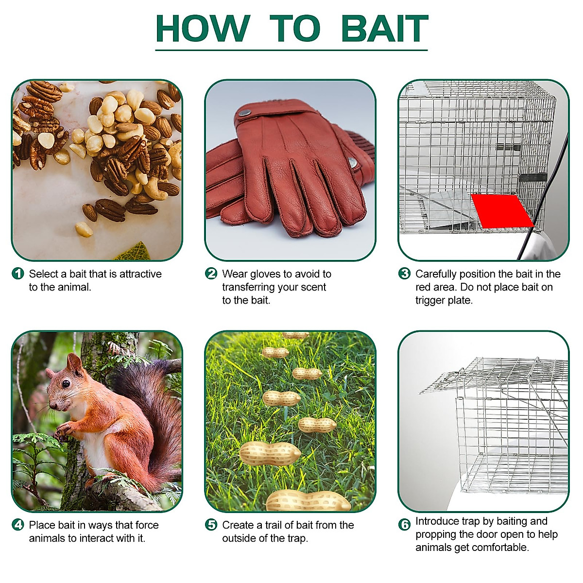 EPESTOEC 17.3" Heavy Duty Squirrel Trap, Folding Live Small Animal Cage Trap, Humane Traps, Catch and Release.