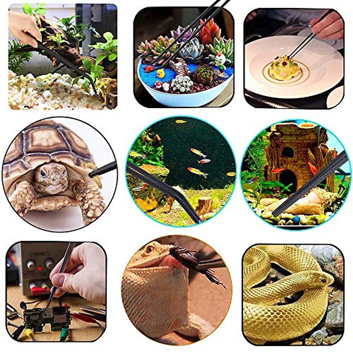3Pcs Reptile Feeding Tongs Long Tweezers Cricket Clamp Bug Scooper and 2Pcs Reptile Food Bowl Lizard Gecko Food Water Dish Bearded Dragon Feeding Dish, Ceramics Worm Dish