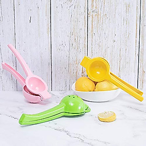 Buzazzy Metal Lemon Squeezer Lemon Juicer Lime Squeezer, Manual Juicer Citrus Squeezer, Premium Quality Hand Juicer