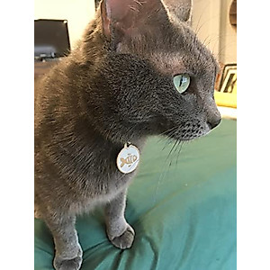 Stainless Steel Cat ID Tags - Engraved Personalized Cat Tags Includes up to 4 Lines of Text with Cat Shape