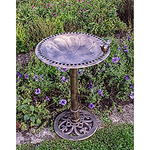 BACKYARD EXPRESSIONS PATIO · HOME · GARDEN 912449-NW Outdoor Garden Bird Bath- Bronze- Weather Resistant Polyresin-30 Inch-Backyard Expressions