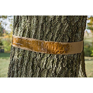 Tanglefoot Tangleguard Banding Material, 3 in. x 50 ft.