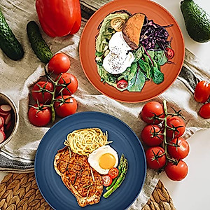 Homienly 6 PCS Reusable Dinner Plates Alternative for Plastic Plates Microwave and Dishwasher Safe Wheat Straw Plates for Kitchen Unbreakable Kids Plates with 6 Colors (10 INCH)