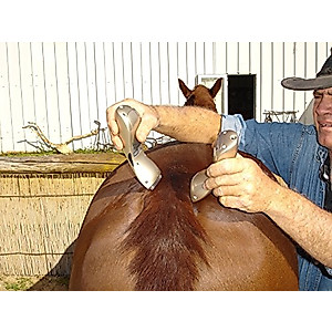 B-Cure Cold Laser Therapy Device for Dogs, Cold Vet Device for Pets & Infrared Light Therapy for Pain Relief, Muscle & Joint Pain, Suitable for Dogs, Cats, Horses and Other Animals