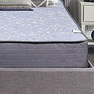 Treaton 11-Inch Firm Foam Encased Euro Top Gel Infused innerspring Mattress, Queen