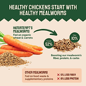 Hatortempt 5 lbs Non-GMO Dried Mealworms-High-Protein Mealworms for Wild Bird ,Chicken, Ducks,Fish,Reptile, Tortoise , Amphibian,Lizard