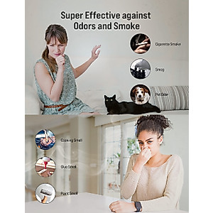 TOPPIN Filter Replacement H13 True HEPA Air Filter for TOPPIN TPAP005 AP005 TP-AP005 Air Purifier to Clean Pets Hair Smoke Odors Dust Pollen Home and Room 1500 to 2000 sq ft