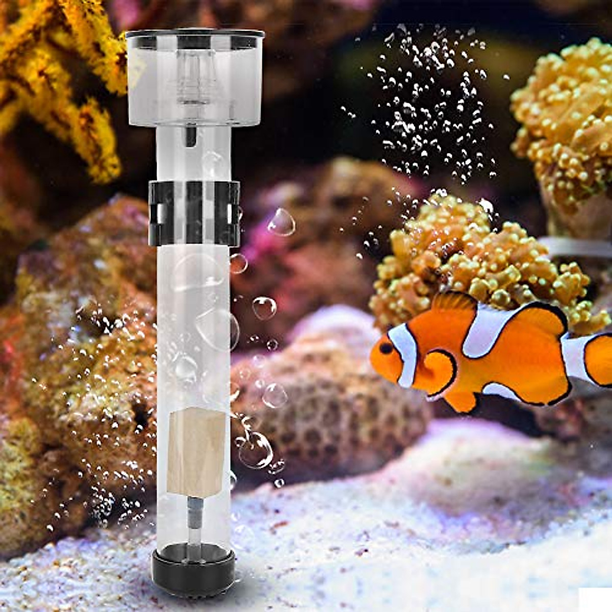 Protein Skimmer Aquarium Filters Acrylic Fish Tank Filter Separator with IQ5 Aquarium Filter Accessory