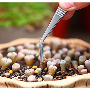 KMHIGH Stainless Steel Tweezers Set, For Small Gardening and Kitchen, Multi-Purpose Tools. (3Pcs, 6.15Inches / 6.3Inches / 6.5Inches)