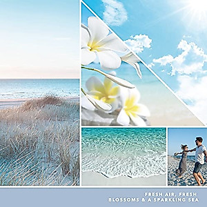 Yankee Candle Studio Medium Candle, Ocean Air, 10 oz: Long-Lasting, Essential-Oil Scented Soy Wax Blend Candle | 40-65 Hours of Burning Time