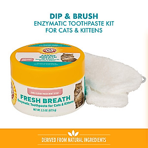 Arm & Hammer Dip & Brush Fresh Breath Enzymatic Toothpaste Kit for Cats and Kittens with 2 Microfiber Finger Bushes, 2.5 Ounces, Tuna Flavor | Cat Dental Care Kit