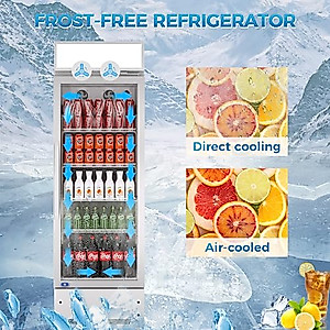 HIPOPLLER Refrigeration Glass 1 Door Upright Display Beverage Cooler Merchandiser with LED Lighting; 10.9 Cubic Ft., Silver