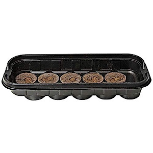 Jiffy J410 42mm Windowsill Greenhouse 10 (Pack of 3)