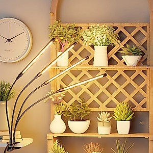 Kalrin Grow Lights for Indoor Plants, Four Head Grow Light with Full Spectrum, Adjustable Gooseneck Plant Light for Indoor Plants, Grow Lights for Seed Starting, 4 Modes, Auto 3/6 /12h Timer