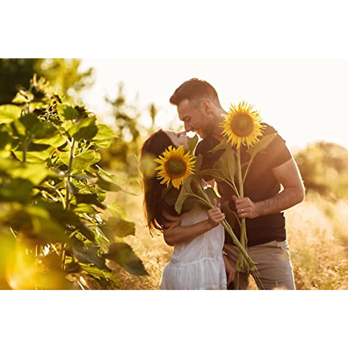 1000+ Mix Sunflower Seeds for Planting Heirloom and Non-GMO Easy to Plant and Grow - 10 Varieties Seeds for Outdoor Garden