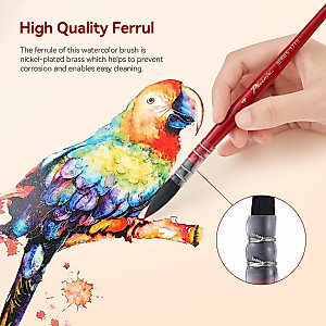 Lightwish Watercolor Brushes Set, Synthetic Squirrel Hair Paint Brushes kit for Artists, Adults, and Hobbists, Pointed Round Mop Brush for Watercolor, Gouache,4 Pcs