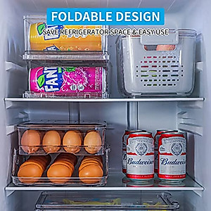 HNNJCK Egg Holder for Refrigerator, Egg Storage Container for Refrigerator, Foldable Kitchen & Fridge Fresh Egg Organizer Bins, Automatic Rolling Clear Plastic Egg Tray with Lid, 2 Layer