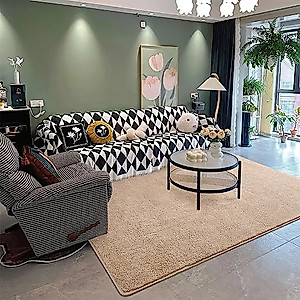 DweIke Modern Area Rugs for Bedroom Living Room, 5x7 Feet, Thickened Memory-Foam Indoor Carpets, Minimalist Style Carpet Suitable for Boys Girls Teenagers and Adults with Super Soft Touch, Beige