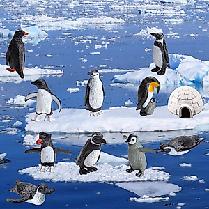Morofme Arctic Penguin Figurines Toy Playset Mini Penguin Toy Set Realistic Penguin Cake Topper Small Penguin Action Figures Polar Animal Educational Toys Christmas Party Supplies Gift for Kids