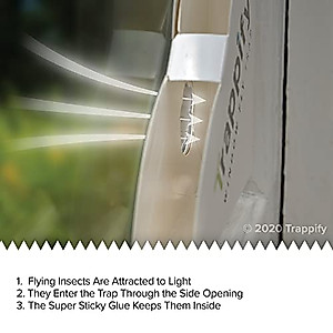 Trappify Window Fly Traps: House Window Fruit Fly Traps for Indoors, Gnat, & Other Flying Insect, Disposable Indoor Fly Trap with Extra Sticky Adhesive Strips - Inside Home Housefly & Bug Catchers (8)