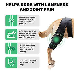 TORJOY Dog Knee Brace Leg Braces - Dog Canine Knee Stifle Brace Wrap Dog Knee Brace for Torn ACL Hind Leg Joint Pain Muscle Sore Pet Brace Reduces Pain and Inflammation (XS)