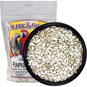 SLEEK & SASSY NUTRITIONAL DIET Oregon Pumpkin Seeds Bird Treat (10 oz.)