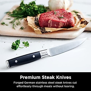 Ninja K32017 Foodi NeverDull Premium Knife System, 17 Piece Knife Block Set with Built-in Sharpener, German Stainless Steel Knives, Black