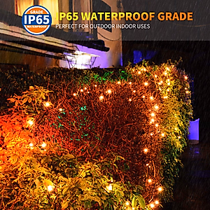 Tcamp 33ft 100LED Christmas Lights Outdoor Indoor, Battery Operated Christmas Tree Lights with Remote Timer, 8 Modes Fairy String Lights for Christmas Tree Wreath Bedroom Decor (Warm White)