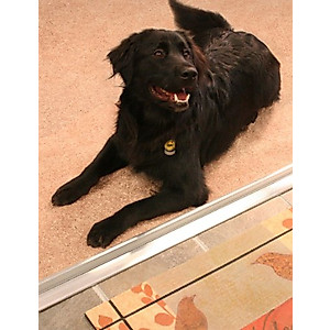 M-D Building Products 8151 72-Inch Deluxe Low Threshold with Vinyl Seal