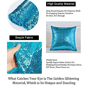 Pardecor Sequin Fabric by The Yard 1 Yard Sparkly Fabric Mesh Sequins Fabric for Sewing Dress and Making Wedding Party Tablecloth Table Runner Decorations (1 Yard, Turquoise)