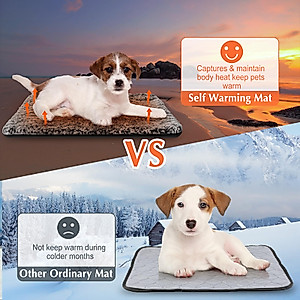 Photect 4 Pack Self Warming Cat Bed Self Heating Dog Cat Pad Extra Warm Thermal Cat Pad Washable Pet Kennel Pad Crate Bed Mat Removable Cover Non Slip for Indoor Outdoor Pets(Gray,16 x 20 Inch)