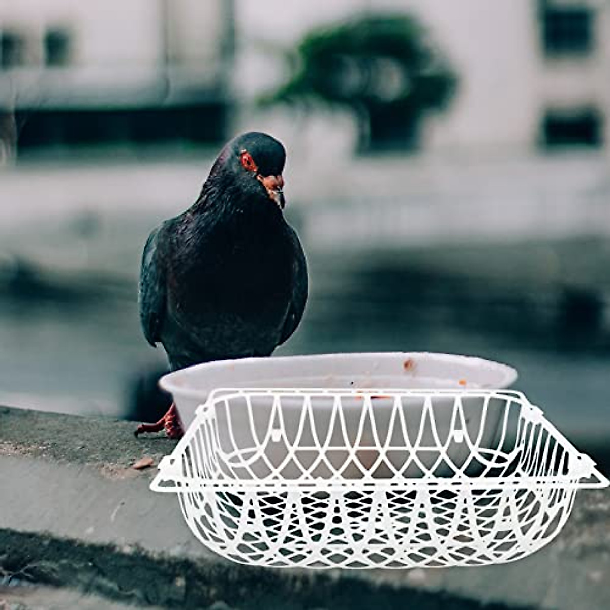 Happyyami 5 Sets Pigeon nest with Brown Cushion Pigeon Bird Pigeon Nesting Bowls Plastic Bird Multipurpose Tool pet Bird Accessories Multi-Function Breeding Nest pp White Incubator Birdcage