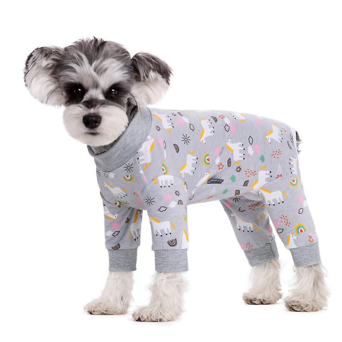 Dog Surgery Recovery Suit, Dog Onesie for Surgery Female Male Dogs, Dogs Pajamas Long Sleeve, Small Dogs Onesie, Abdominal Wound Bandages Surgical Suit, Cat Recovery Suit for Shedding Skin Disease