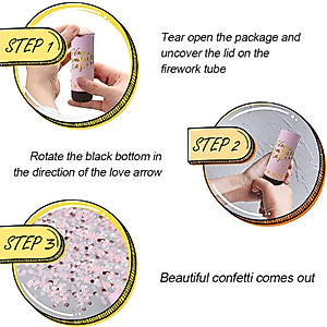 Pink Confetti Party Confetti Cannon, 6 Pack Mini Party Poppers Pink Confetti Cannon Shooters Biodegradable Confetti for Wedding Kids Birthday Party Supplies