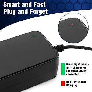 WYNESS 42V 2A Electric Scooter Charger for Gotrax GXL V2, G2, G3, G4, Apex, Glider, XR Elite, 2 Plugs for All 36 Volt Lithium Battery