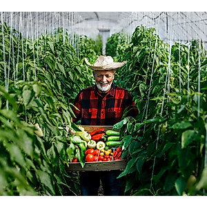 Piteno® 300Pcs Tomato Clips, Plastic Trellis Clips, Plant Support Clips, Grape Vine Tomato Vine Vegetables Plants Garden Support Clips to Grow Upright Makes Plants Healthier