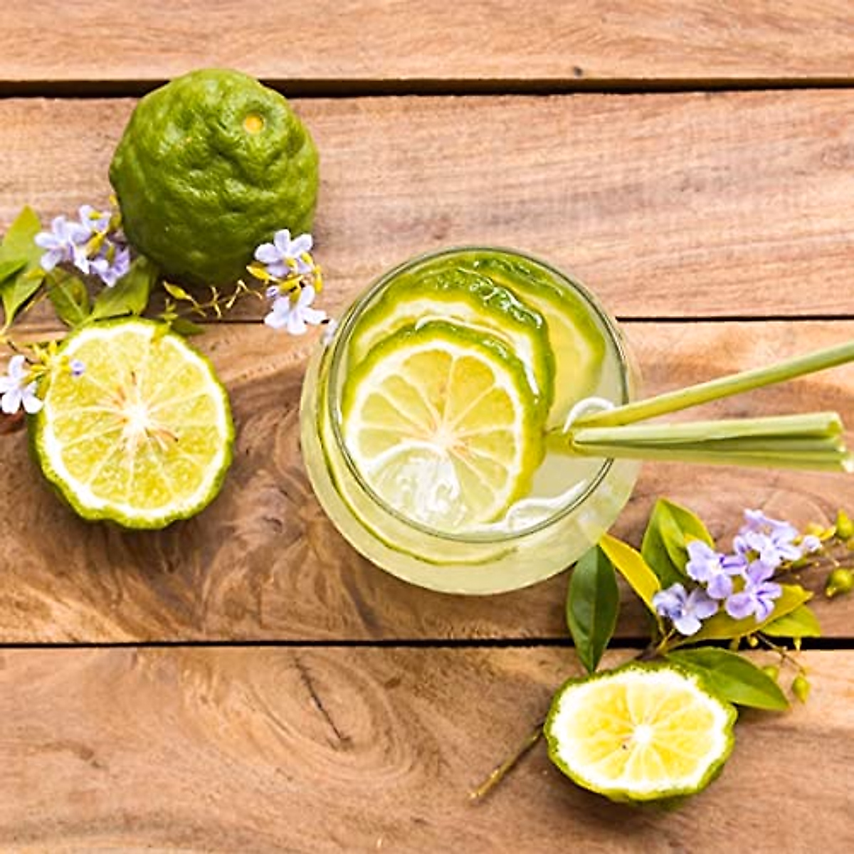 QAUZUY GARDEN 3 Makrut Kaffir Lime Seeds (Citrus Hystrix) - Fragrant Edible Leaves - Perennial Tropical Exotic Fruit Tree - Great for Container Pot - Easy to Grow