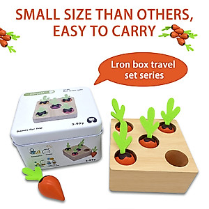 Doyolta Montessori Toys for Toddlers 4 Years Old, Shape Sorting Matching Puzzle Toy with Carrots Travel Toys in Tin Box for 4 Year Old Gifts for Boys Girls